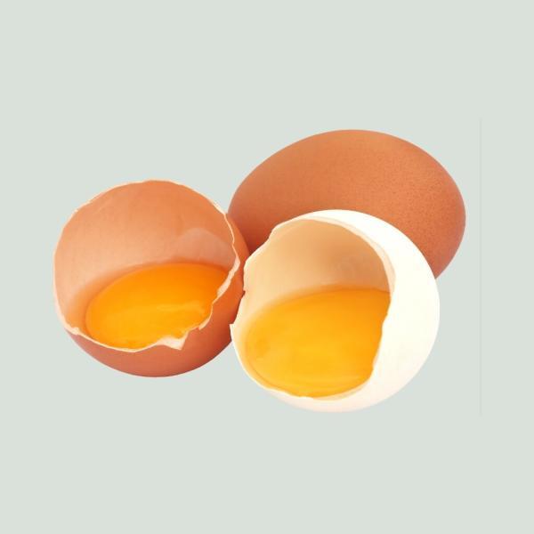 Wissenswertes rund um das Ei - Home and Herbs