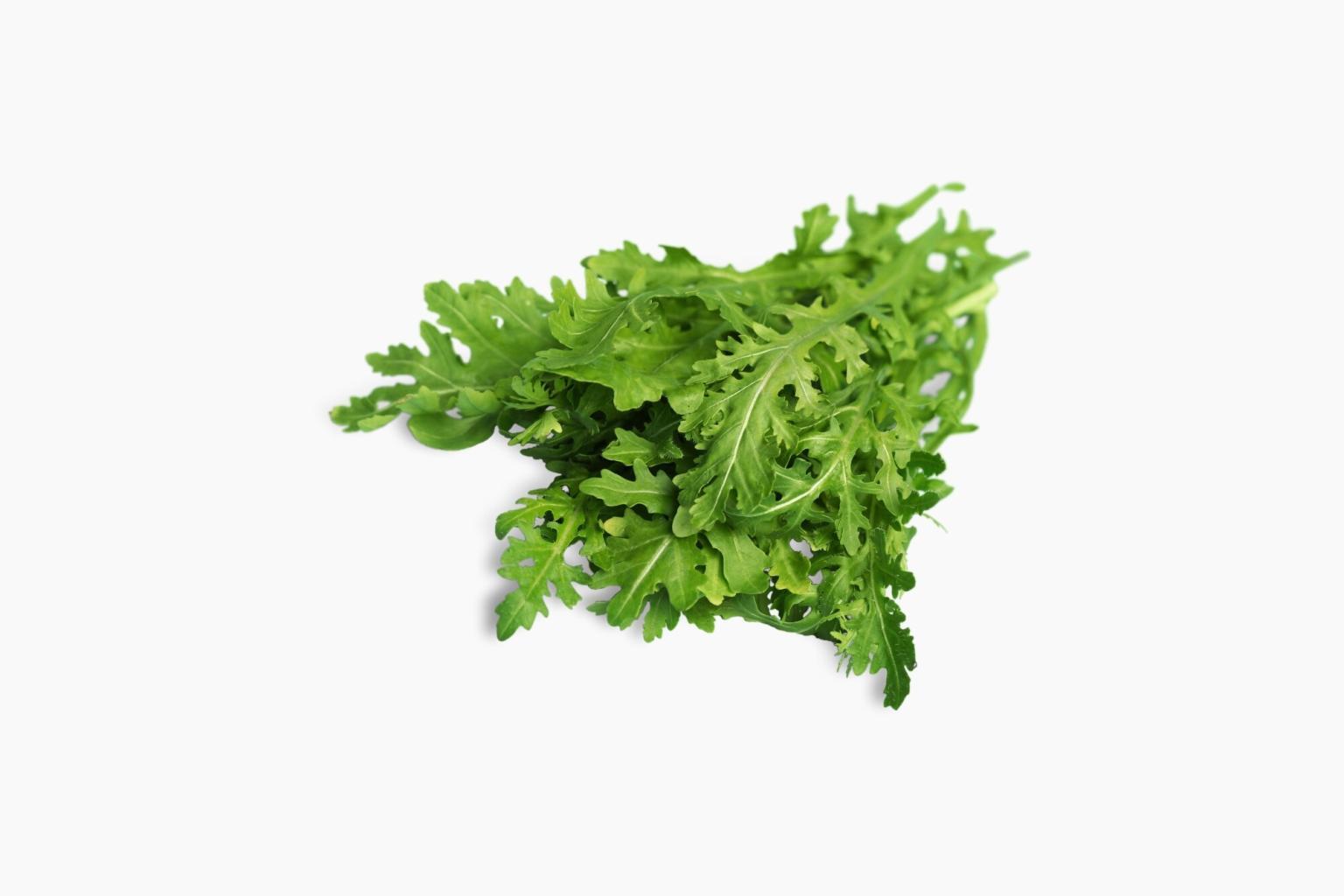 Alles über Rucola: Infos & Rucola Rezepte