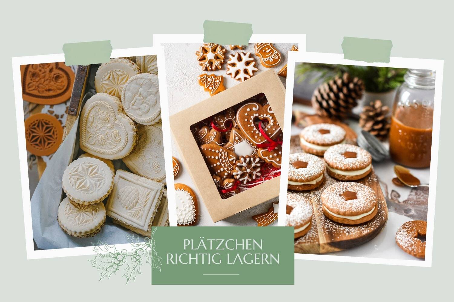 Wie Lange Halten Sich Pltzchen